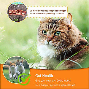 Munchy Chomps Lawn Guard Munch for Cats - Supports Urinary Tract & Gut Health - Prevents Yellow Spots on Grass - with DL-Methionine, Fiber & Probiotics (Bacon)