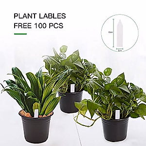 JERIA 100-Pack 0.5 Gallon Plant Nursery Pots, Plastic Pots for Flower Seedling, Flower Plant Container Seed Starting Pot, Come with 100 Pcs Plant Labels
