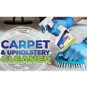 Black Diamond Stoneworks Carpet & Upholstery Cleaner: This Fast Acting Deep Cleaning Spot & Stain Remover Spray Also Works Great on Rugs, Couches and Car Seats. (1-gallon and 1-quart)