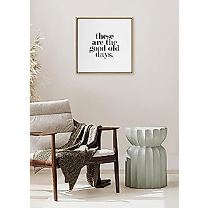 Kate and Laurel Sylvie Good Old Days Framed Canvas Wall Art by Maggie Price of Hunt and Gather Goods, 22x22 Natural, Modern Farmhouse Wall Décor