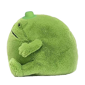 ZOKOL 2023 New Ricky Rain Frog Plush Stuffed Toy, 8 inch Soft Frog Gift Doll for Kids