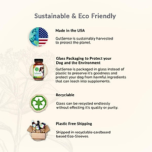 Dr. Dobias - GutSense, Advanced Prebiotic & Probiotics for Dogs, Canine-Specific Dog Probiotics, Dog Supplement for Healthy Digestion, Good Bowel Movement & Immune System, Pet Supplies, 60 Capsules