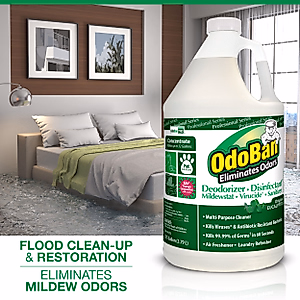 OdoBan Professional Disinfectant and Odor Eliminator Concentrate, 1 Gallon, Original Eucalyptus Scent