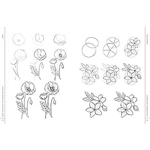 Draw Like an Artist: 100 Flowers and Plants: Step-by-Step Realistic Line Drawing * A Sourcebook for Aspiring Artists and Designers (Volume 2) (Draw Like an Artist, 2)