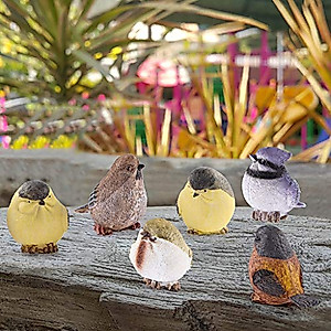 Sanbege Bird Statues, Bird Figurine Home Decor, Bird Sculpture for Garden, Birdhouse, Bird Theme Decor, Set of 6
