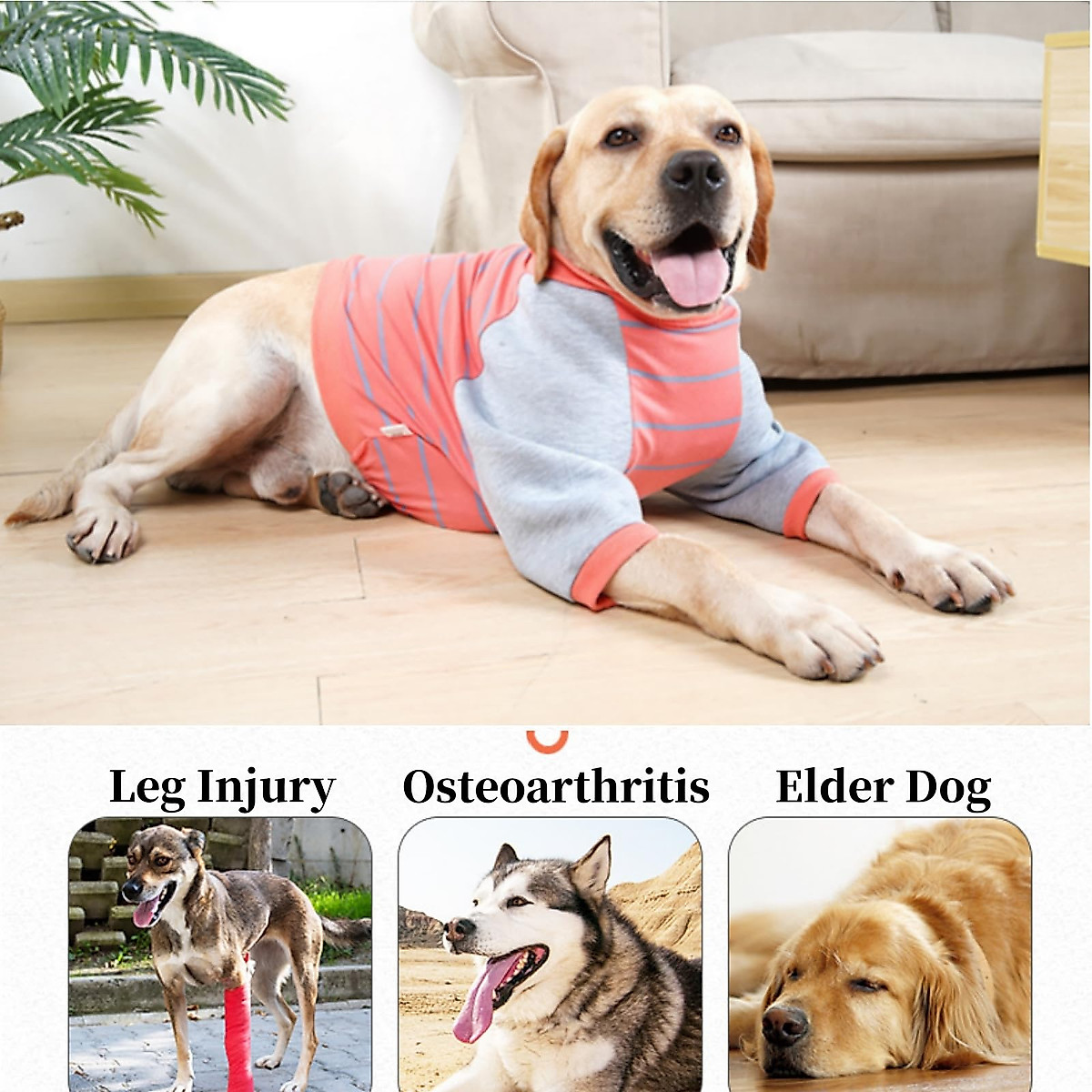 Dog Elbow Protector for Calluses, Dog Post Operative Protection Shirt, Dog Surgery Recovery Suit Clothes Front Leg Braces Elbow Dysplasia, Cone Collar Alternative for Sprain Arthritis Joint Care, L
