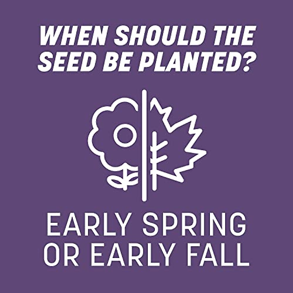 Pennington Smart Seed Dense Shade Grass Mix 3 lb