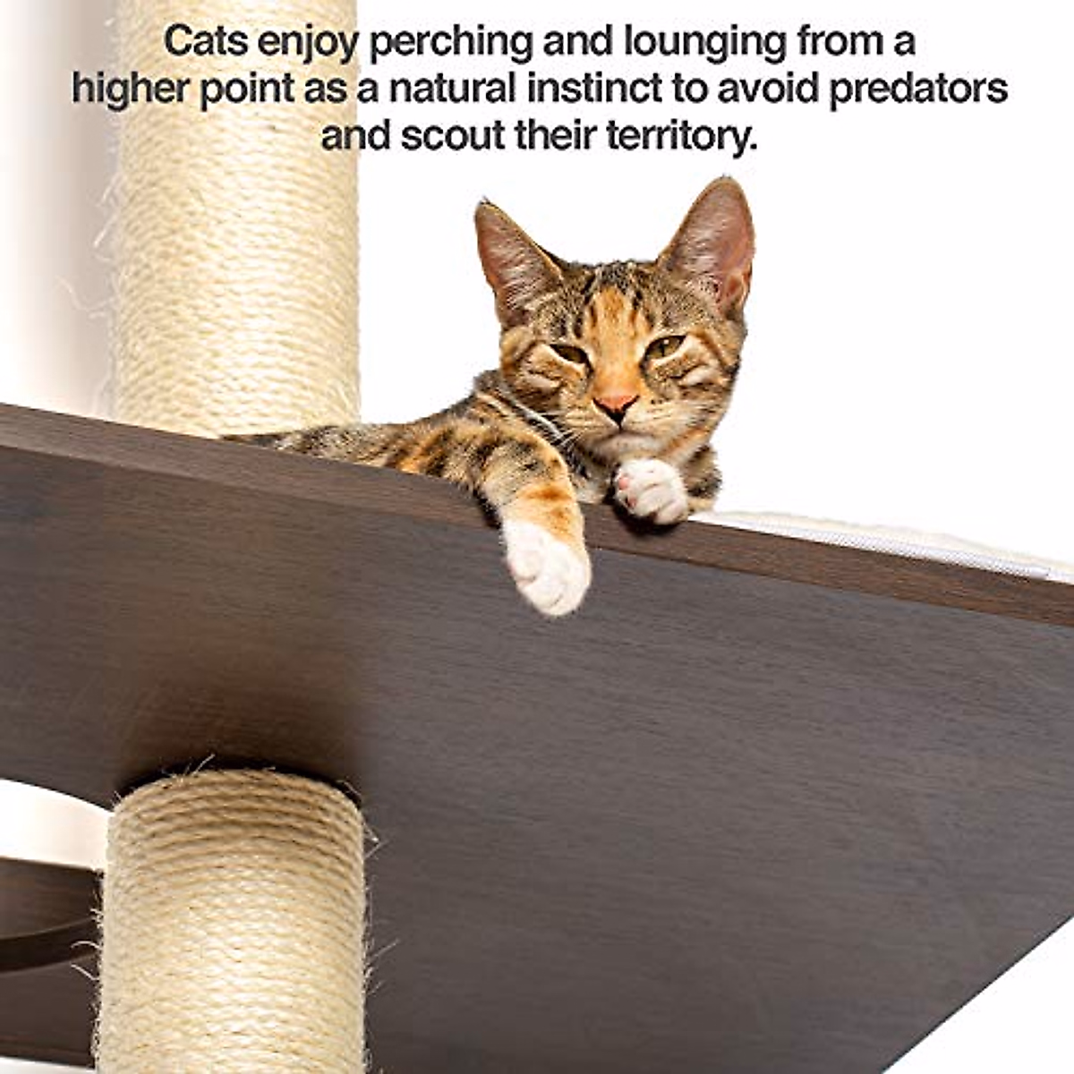 PetFusion Ultimate Cat Climbing Tower & Activity Tree. (24 x 20.8 x 76.8 inches (lwh) Tall Sisal Scratching Posts, Modern Wall Mounted cat Furniture, Espresso Finish). 1 Year Manufacturer Warranty