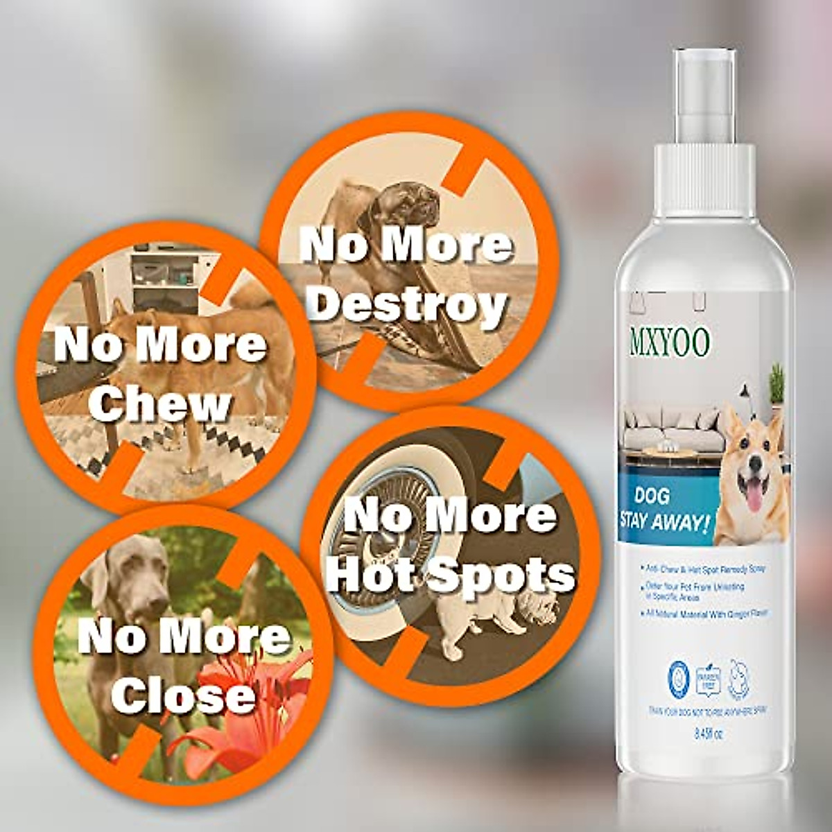 MXYOO Dog Stay Away Spray, Training Your Dog Where Not to Urinate, Training Corrector Pets Deterrent, Indoor & Outdoor Use, No More Marking