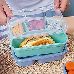 Meal Prep Container Microwave Safe, 4 Pack Bento Lunch Box, 4-Compartment Snack Container for School Work Travel, Lunch Containers for Adults, Bento Box for Kids, Reusable Dishwasher Safe
