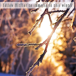 Fragrance Oils, MitFlor Winter Essential Oils for Home Diffusers, Soap & Candle Making Scents, Premium Holiday Aromatherapy Gift Set, 6 x10ml-Winter Berries, Gingerbread Cinnamon, Fireplace & More