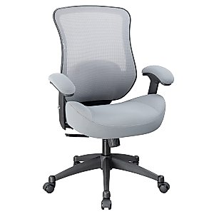 LONGBOSS Office Chair Ergonomic Desk Chair Mesh Computer Chair Height Adjusting Arm Waist Support Function -Grey