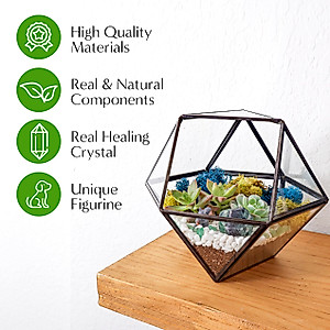 7” DIY Succulent Terrarium Kit with Live Plants, Decorative Rocks, Moss, Healing Crystals, Figurine, Tools & Geometric Glass Terrarium Décor