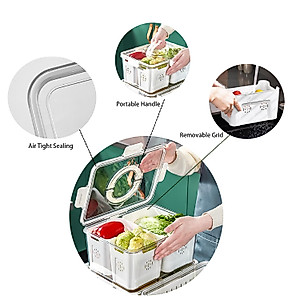 ZEENING Fruit Storage Containers for Fridge, 4 Compartments Refrigerator Organizer with Lid & Handle for Fruit Vegetable Fresh Produce Salad Bar & Berry, BPA-Free Food Storage Bins, Cream