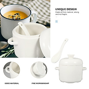 Hemoton Ceramic Stewing Bowl Pot Set: Ceramic Stew Bowl Soup Bowl with Lid Dessert Bowl Pot 460ml