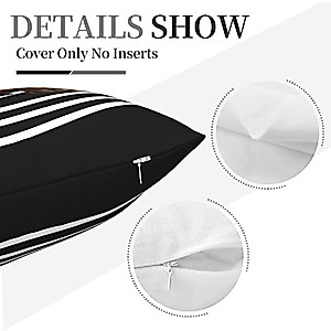 VARUN Square Throw Pillow Covers Cute Dachshund Dog Stripes Design Pillow Cases Decorative for Home Bedroom Sofa Pillowcases Standard Size 18X18 Inch