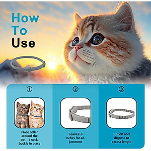 Calming Collar for Cats 3 Pack Efficient Relieve Anxiety Stress - 60 Days Long Lasting Cat Pheromone Collar and Cat Calming Collar for Anxiety GAAMS