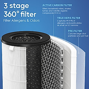 AP-T20 Replacement HEPA Filter Compatible with Homedics AP-T20 and AP-T20WT Purifier, 3-in-1 True HEPA Replacement Filter, Part# AP-T20FL, Pack of 2