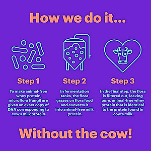 Natreve MOOLESS Animal Free Whey Protein Powder - 20g Lactose Free, Protein Powder with Amino Acids - Fudge Brownie, 10 Servings