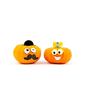 ZHAOER 200 Pieces Chenille Stems - 250 Pieces 6 Sizes Assorted Pom Poms - 100 Pieces Glitter Pompoms and 150 Pieces Wiggle Googly Eyes for DIY Arts Crafts