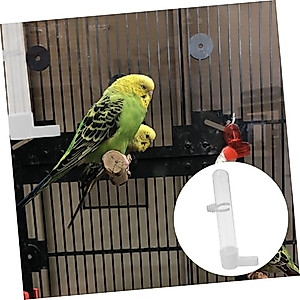 BESPORTBLE Bird Parrot Feeding Cup Bird Feeder for Outside Waterer Feeding Cup Water Dispenser for Birds Portable Feeder Cup Water Feeder Drinking Water Machine Dispenser Bird Supplies White