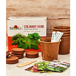 Burpee Culinary Garden Starter Kit Packets, 5 Pots, 5 Coir Pellets & 5 Plant Markers Non-GMO Herb Seeds: Cilantro, Dill, Parsley, Sweet Basil & Chives