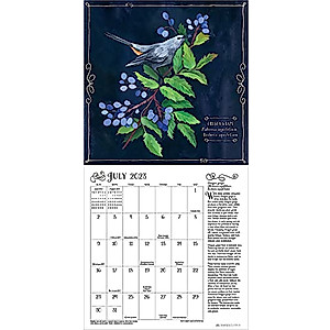 Backyard Foraging 2023 Wall Calendar: Discover Edible Plants and Kitchen Inspiration by Ellen Zachos | 12" x 24" Open | Amber Lotus Publishing