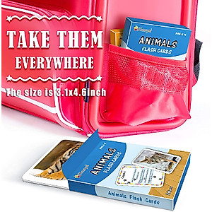 Sight Words Flash Cards with Pictures, Motions&Sentences, 208 CVC Dolch Sight Words, Learn to Read, Phonics Learning for Preschool, Kindergarten, Homeschool