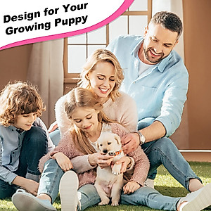 BOUMUSOE 18 Pcs Puppy Collars for Litter Adjustable Puppy Whelping Collars Soft Nylon Puppy ID Collars with Safety Quick Release Buckle for Small Medium Dogs( 17-26cm )