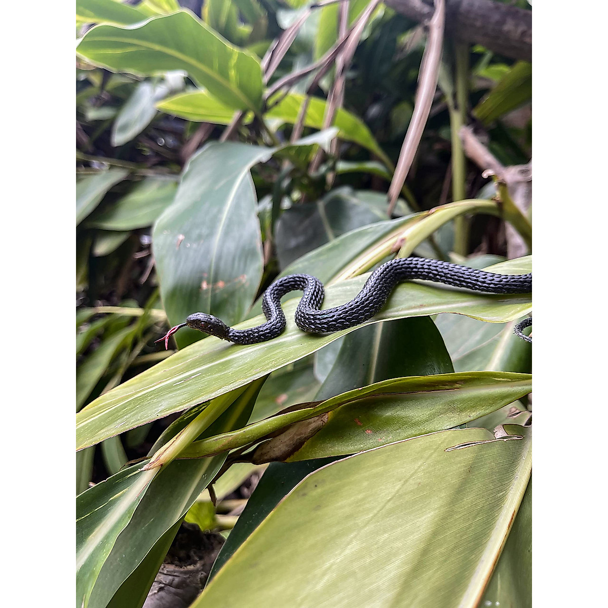 HOHAJIU Fake Snake Toy Rubber Realistic Snake Toy 10 PCS Lifelike Snake Toy Gag Gift for Halloween, April Fool’s Day Party Decoration