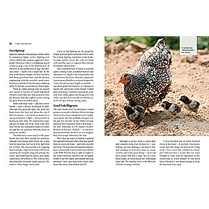 Storey's Guide to Raising Chickens, 4th Edition: Breed Selection, Facilities, Feeding, Health Care, Managing Layers & Meat Birds