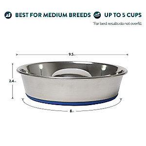 OurPets DuraPet Slow Feed Premium Stainless Steel Dog Bowl, Silver (2040010301)