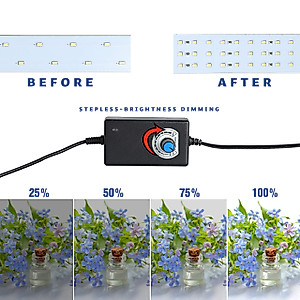 Finnhomy 20 x 20 Photo Box Professional Portable Photo Studio Photo Light Studio Photo Tent Light Box Table Top Photography Shooting Tent Box Lighting Kit