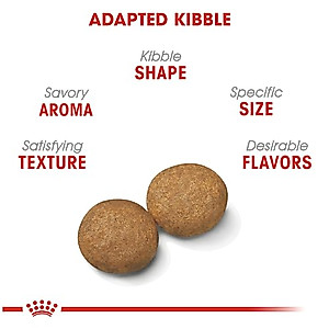 Royal Canin Medium Breed Adult Dry Dog Food, 17 lb bag