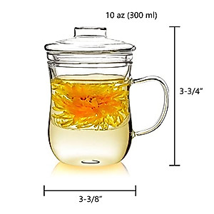 Kendal Tea Cup with Infuser and Lid, Clear Glass Mug 10 oz 300ml