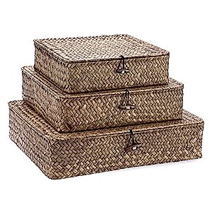 Hipiwe Flat Wicker Basket Bins with Lid - Set of 3 Handwoven Seagrass Storage Basket Shelf Baskets Boxes Multipurpose Home Organizer Bins Boxes for Shelf Pantry Closet,Large Size 14.8"x13"