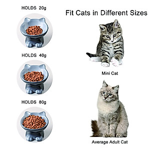 Nihow Elevated Cat/Dog Bowls: 5 Inch Ceramic Raised Cat Food & Water Bowl Set for Protecting Pet's Spine - Feeding & Watering Supplies for Pets - Elegant Gray (4.5 OZ /1 PC)