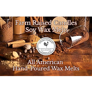 Wax Melts, 16 Oz - with 5 Scented Options Including Fall Spice, Vanilla, Cinnamon Caramel, Pecan Waffles and Apple - Soy Candle Melting Warmer Cubes with Natural Scent and Non Toxic Ingredients