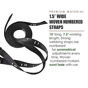 New Grey Fox Premium Numbered 1.1" Wooden Gymnastic Rings with Adjustable Straps Olympic Size: Chalk, Non-Slip Buckle |Full Body Suspension |Bodyweight Calisthenics |Home Gym Equipment |Fitness Gifts