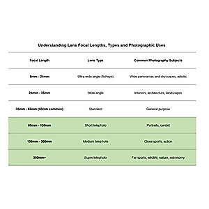Canon EF 100-400mm f/4.5-5.6L is II USM Lens, Lens Only