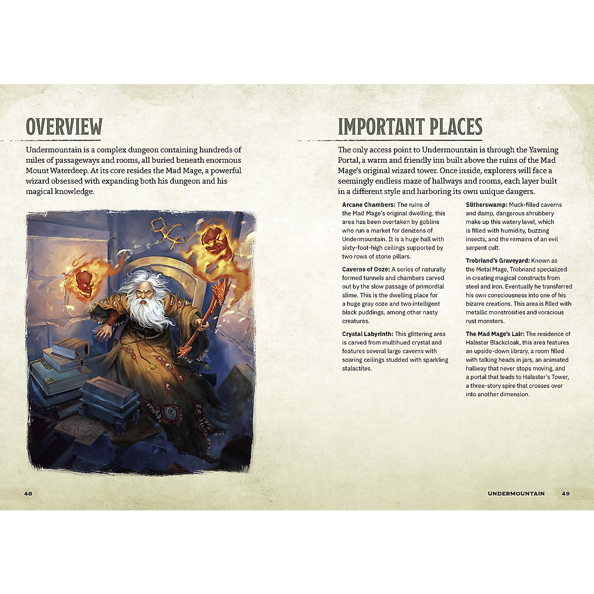 Dungeons & Tombs (Dungeons & Dragons): A Young Adventurer's Guide (Dungeons & Dragons Young Adventurer's Guides)