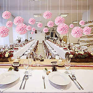 10pcs Tissue Hanging Paper Pom-poms Flower Ball Wedding Party Outdoor Decoration, Hmxpls Premium Tissue Paper Pom Pom Flowers Craft Kit(Pink)