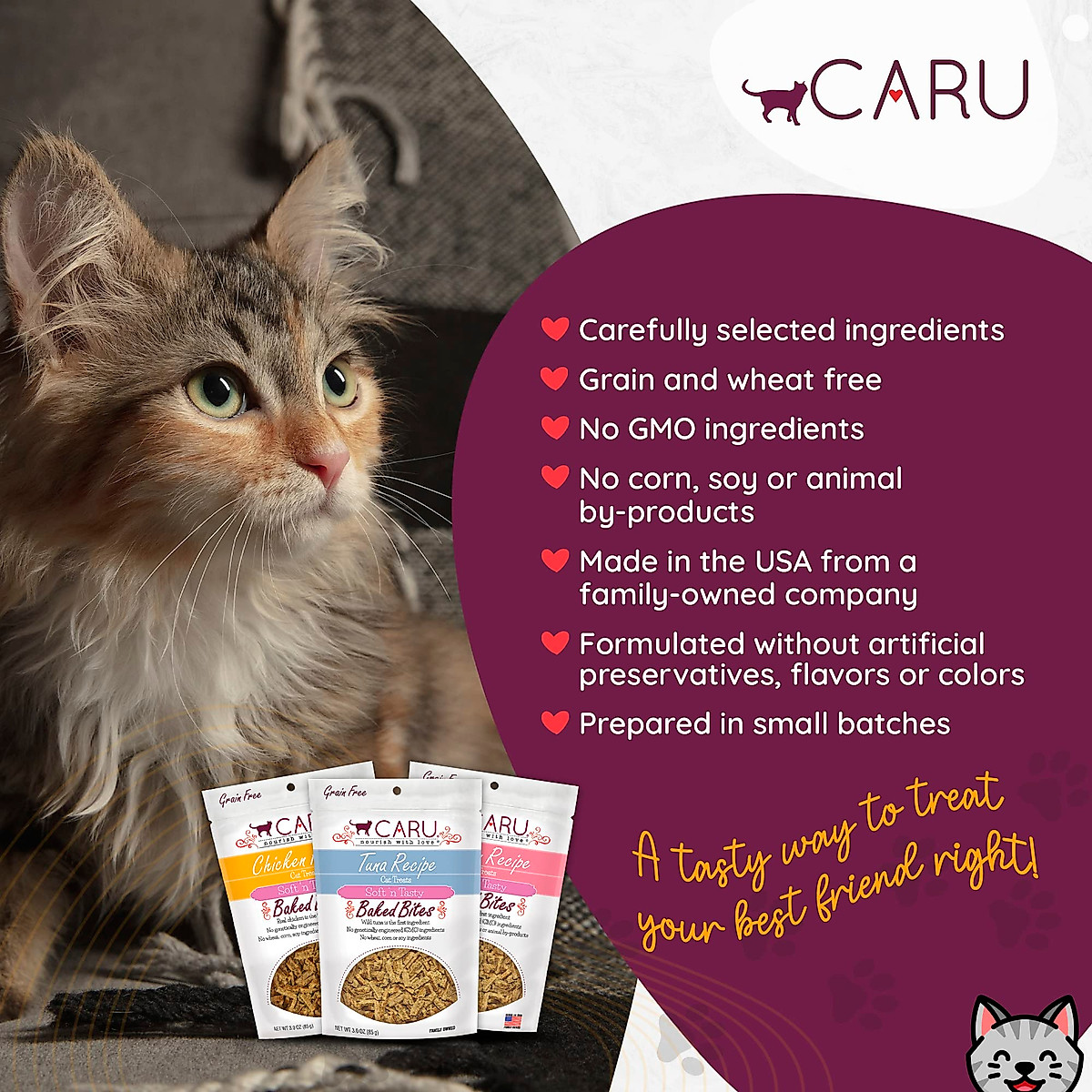 CARU - Soft ‘n Tasty Baked Bites - Chicken Bites Cat Treats - Flavorful All-Natural Treats - 3 oz.