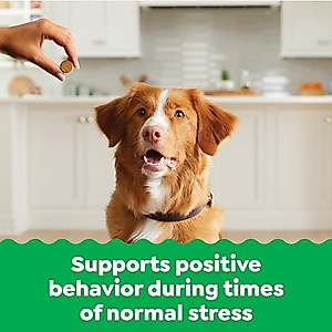 GREENIES Supplements Calming Chews for Dogs Chicken Flavor, 40 Count Soft Chews Dog Calming Supplements, 7.3 oz. Container