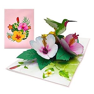 ETA 3D Hibiscus and Green Hummingbird Pop Up Greeting Card for Birthday, Just Because, Thinking of You, Retirement, Get Well, Congratulations, Any Occasions, F38