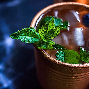 Kosdeg Copper Cocktail Tins Set of 2 12oz - Copper Cups For Drinking - Bean Tin Design - Perfect Copper Mug Bar Set for Tastier Drinks - Metal Tumbler gets Ice Cold In Seconds