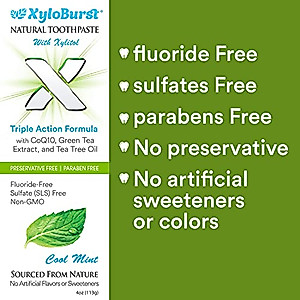 Xyloburst Natural Fluoride-Free Xylitol Premium Toothpaste with Xylitol and CoQ10 Cool Mint - SLS-Free, Paraben Free, Cruelty Free, 4 Ounce Tube Made in The USA (3 Tubes)