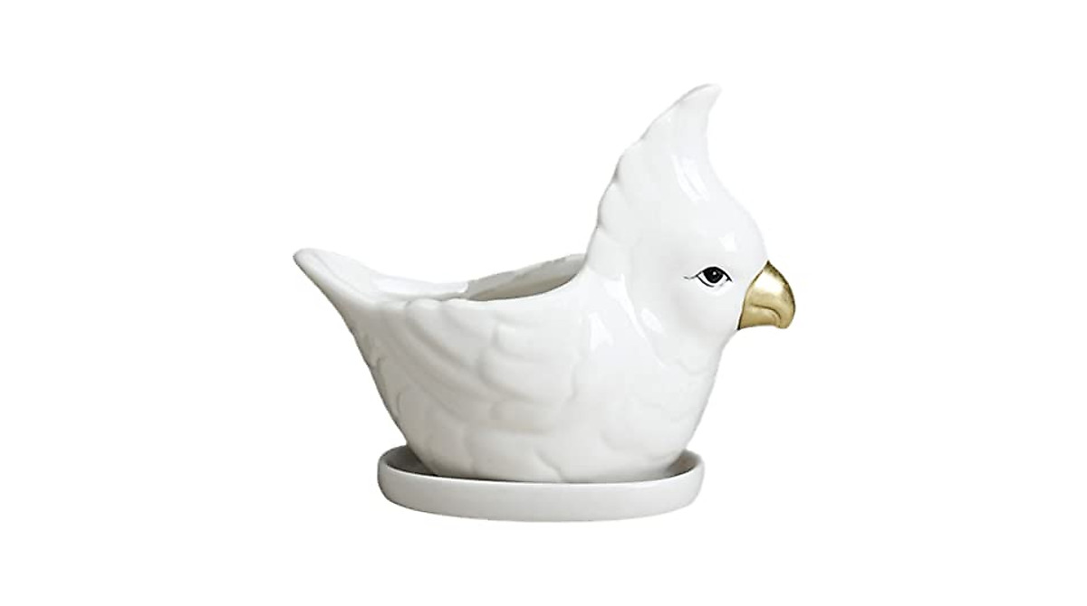 Homoyoyo Parrot Ceramic Planter Pot for Succulents and Bonsai