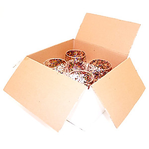 Wild Eye Designs Double Wall Insulated Wine Borosilicate Glass, Rainbow Confetti Set of 4pcs Small 13 fl oz