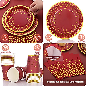 Gudvilla Burgundy and Gold Party Decorations, 200Pcs Burgundy Plates and Napkins Party Supplies, Serve 50, Maroon and Gold Graduation Decorations for Birthday Valentines Graduation Plates